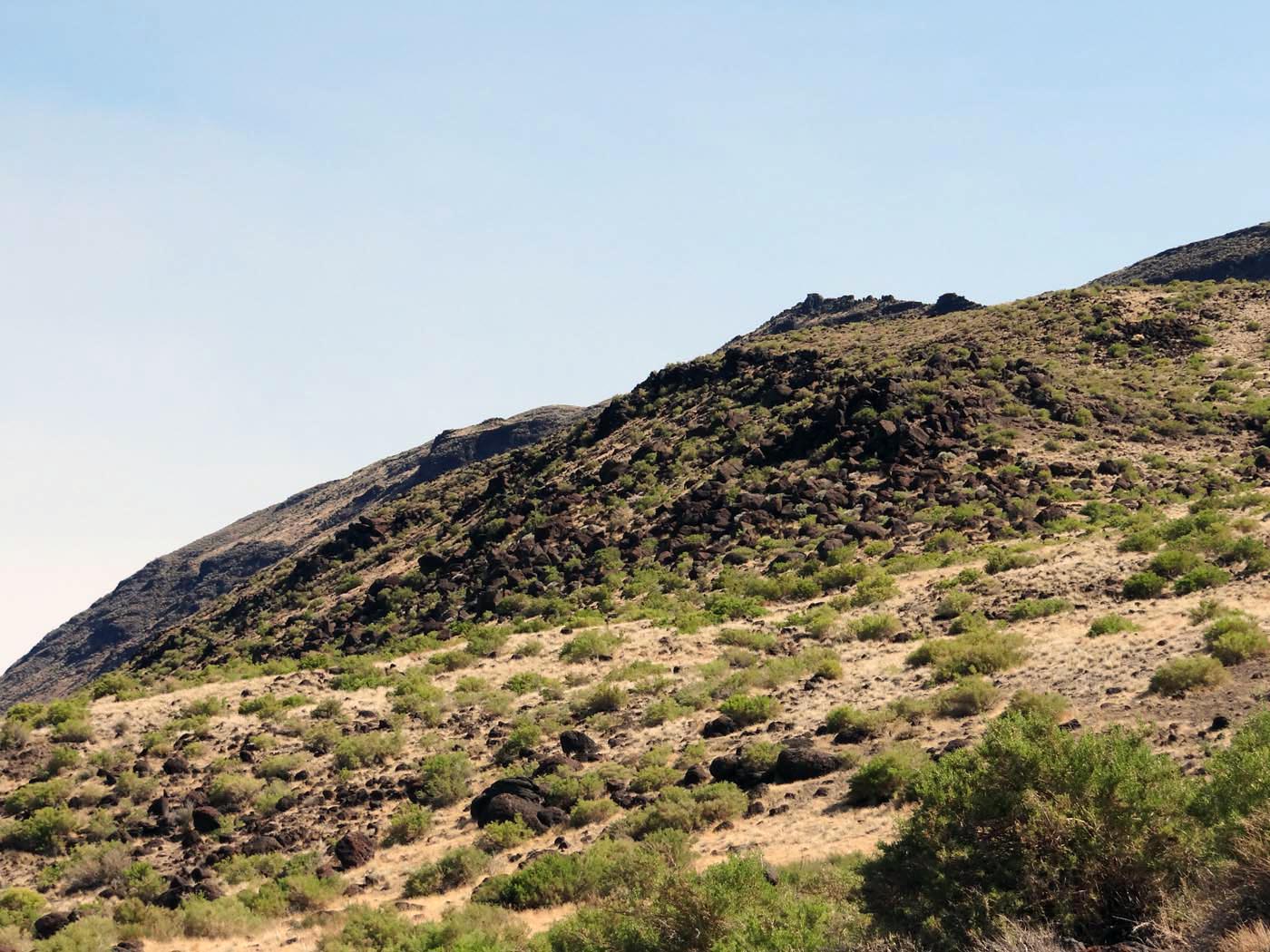 Pacific Northwest Interagency Natural Areas Network