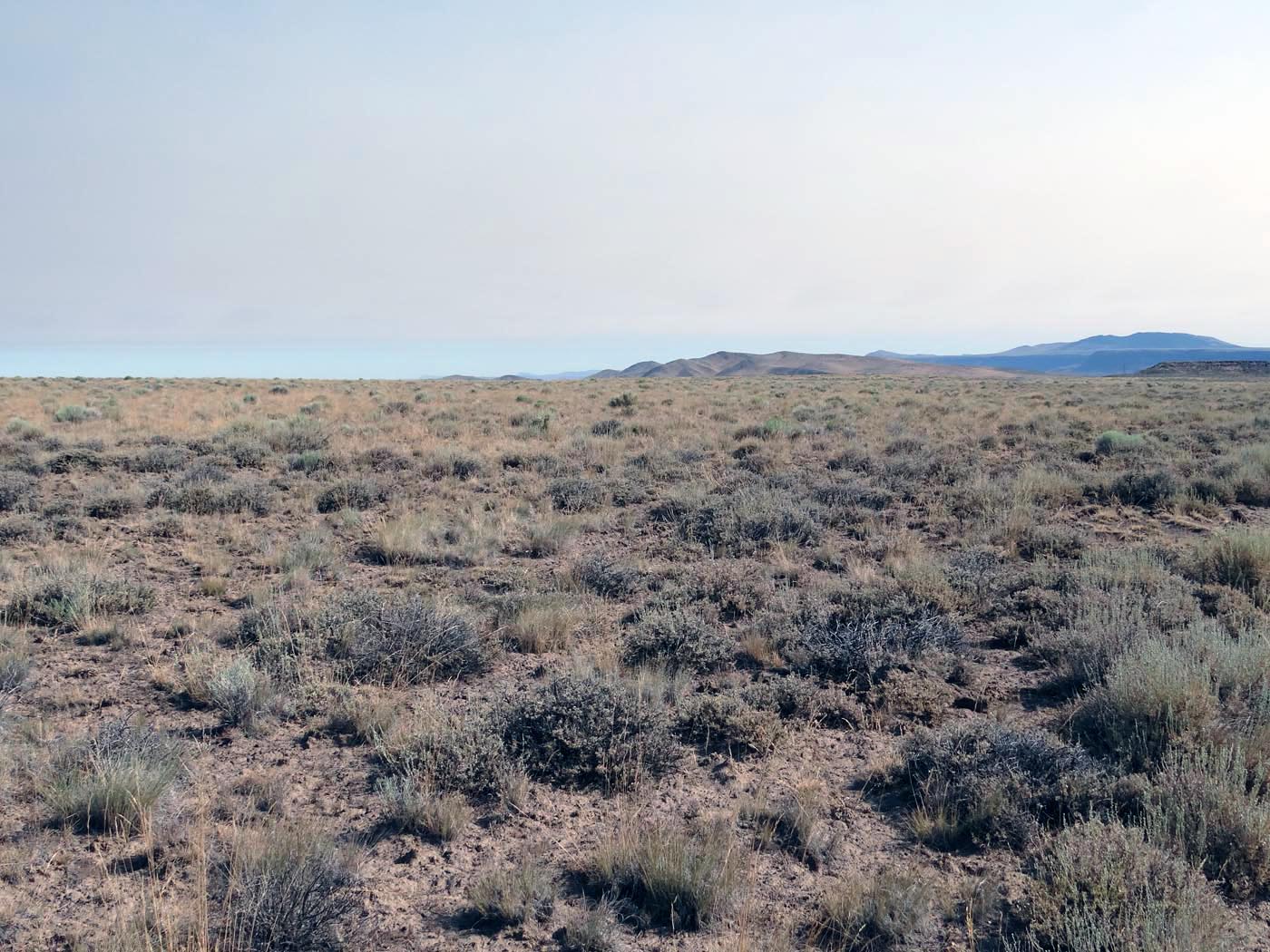 Pacific Northwest Interagency Natural Areas Network