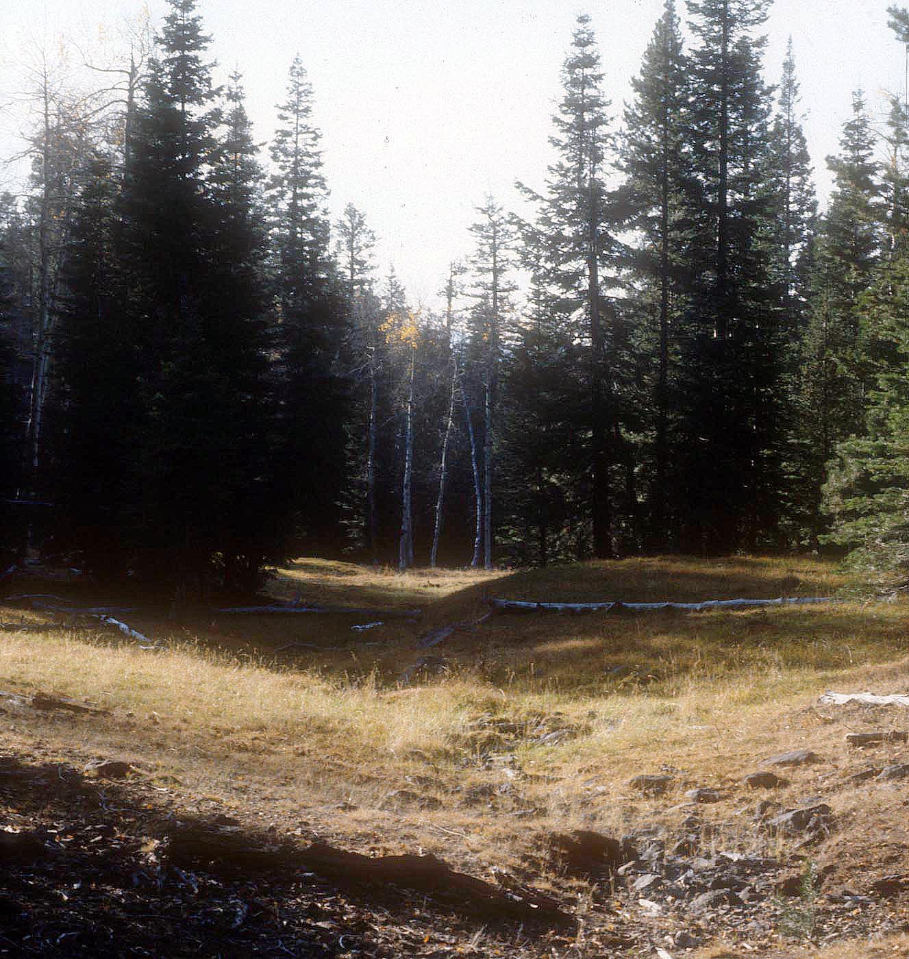 Pacific Northwest Interagency Natural Areas Network