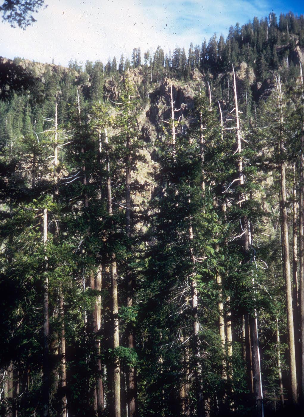 Pacific Northwest Interagency Natural Areas Network