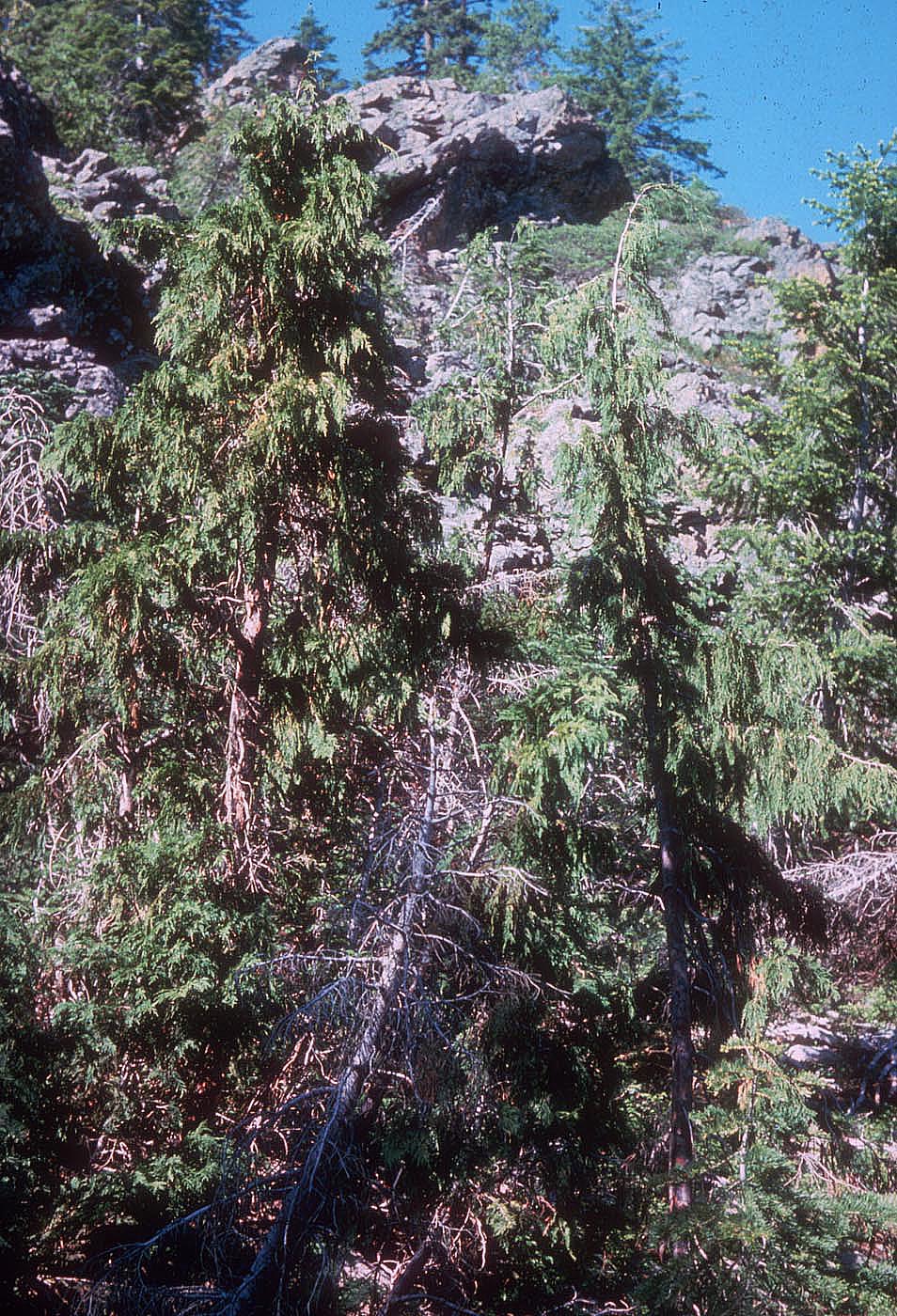 Pacific Northwest Interagency Natural Areas Network