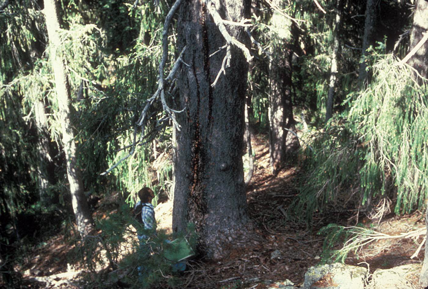 Pacific Northwest Interagency Natural Areas Network