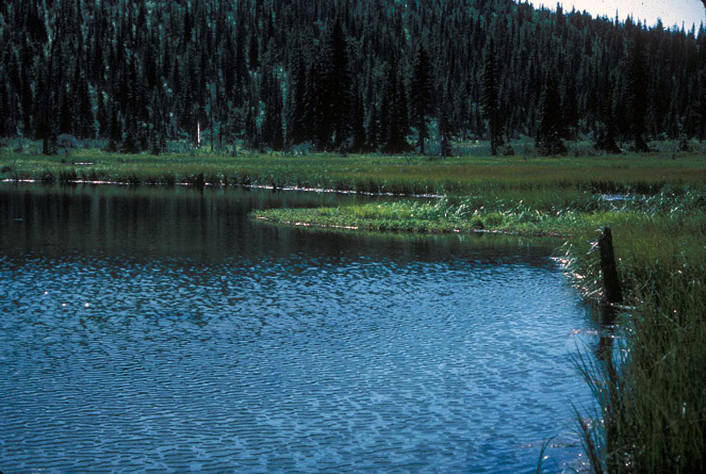 Pacific Northwest Interagency Natural Areas Network