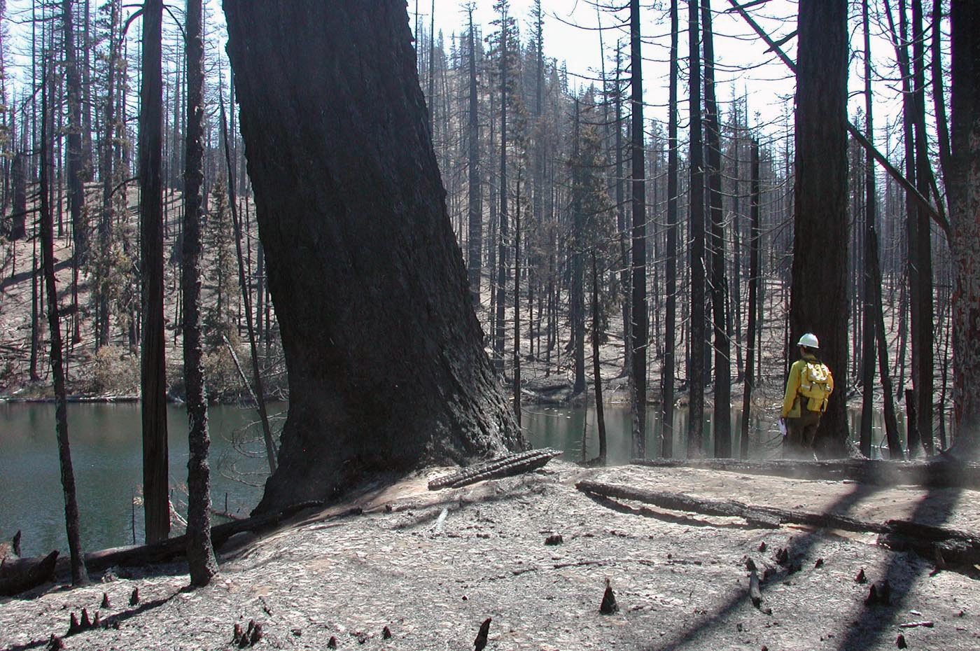 Pacific Northwest Interagency Natural Areas Network