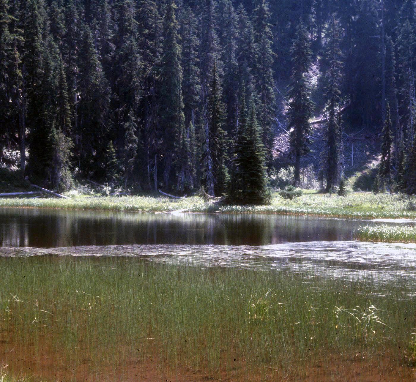 Pacific Northwest Interagency Natural Areas Network