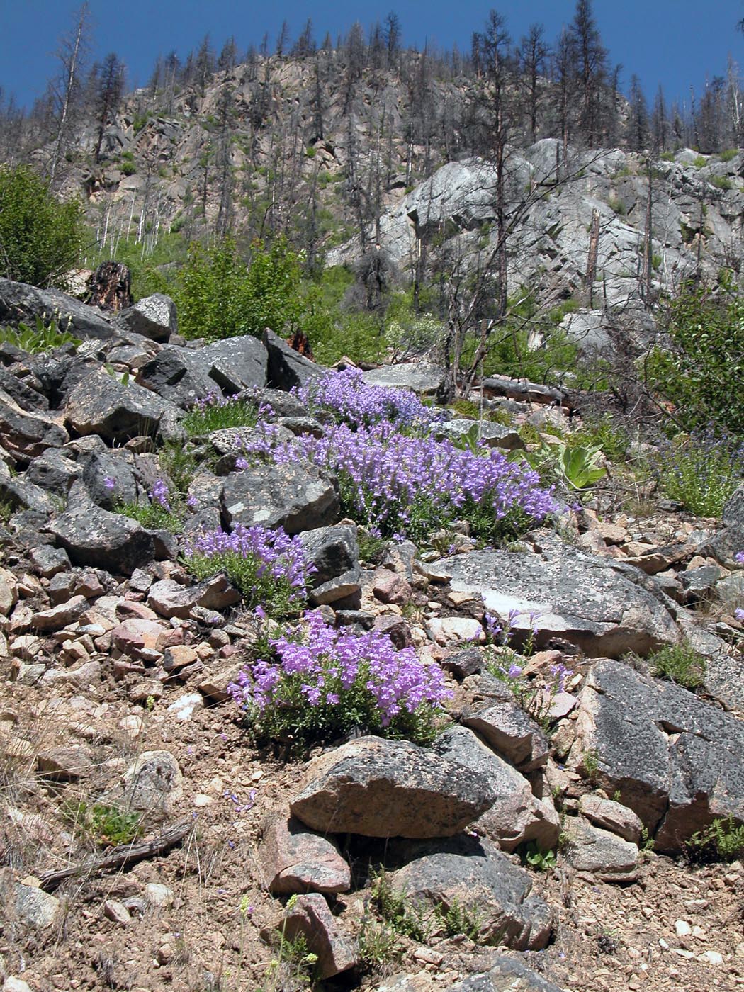 Pacific Northwest Interagency Natural Areas Network