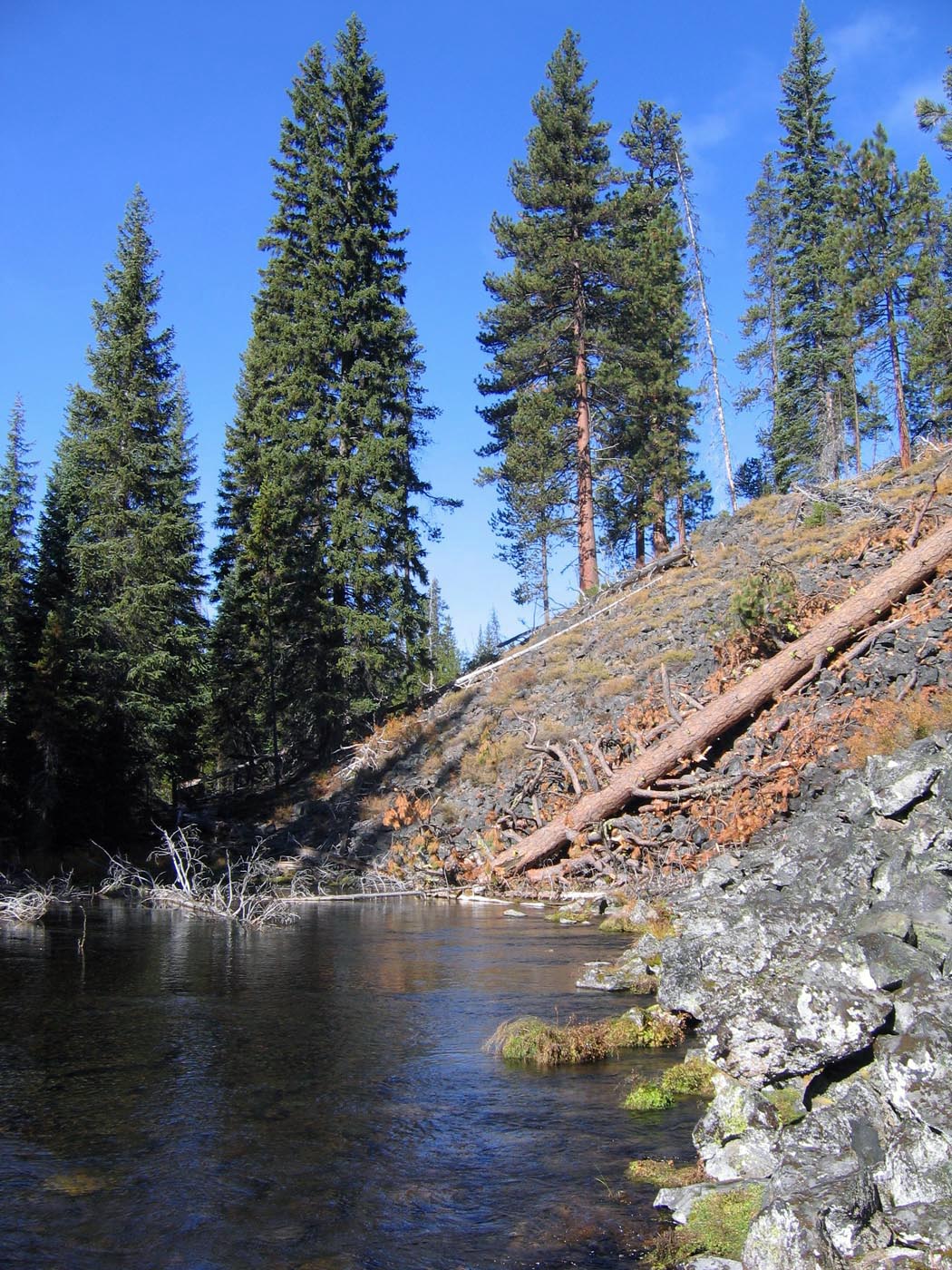 Pacific Northwest Interagency Natural Areas Network