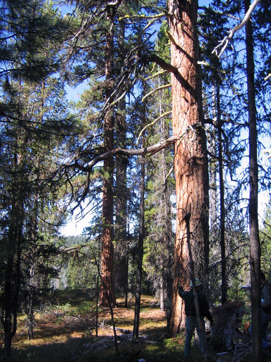 Pacific Northwest Interagency Natural Areas Network