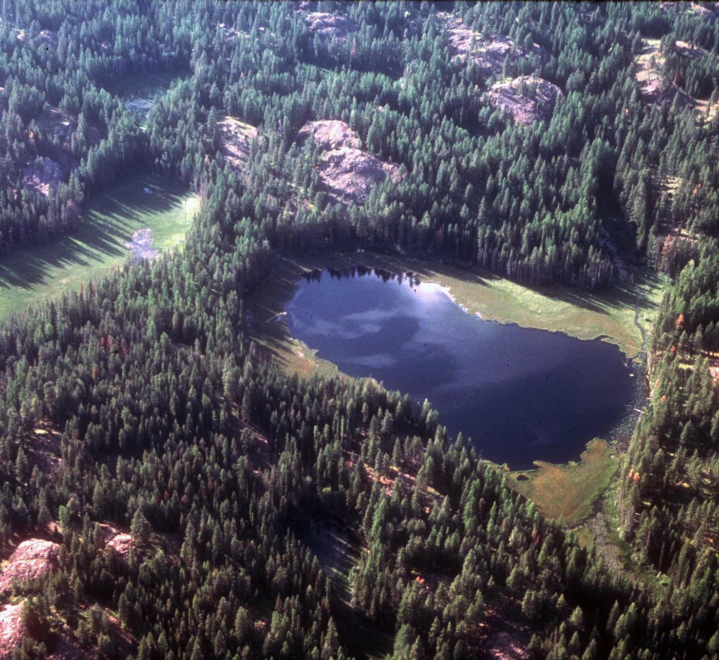 Pacific Northwest Interagency Natural Areas Network
