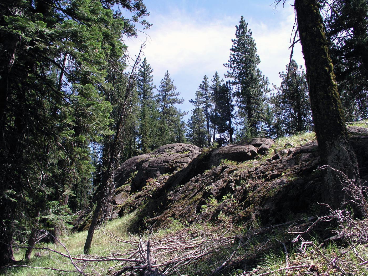 Pacific Northwest Interagency Natural Areas Network