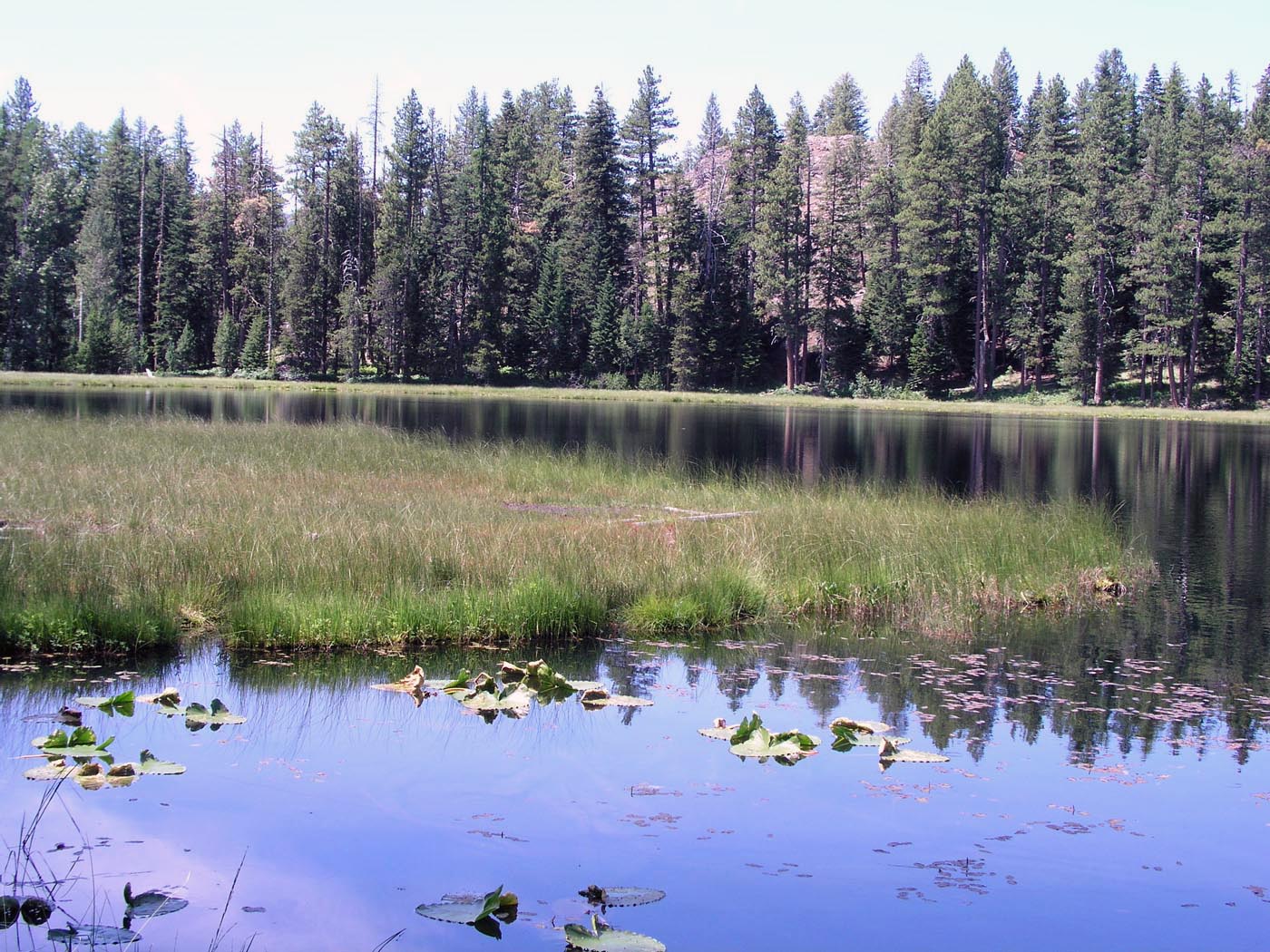 Pacific Northwest Interagency Natural Areas Network