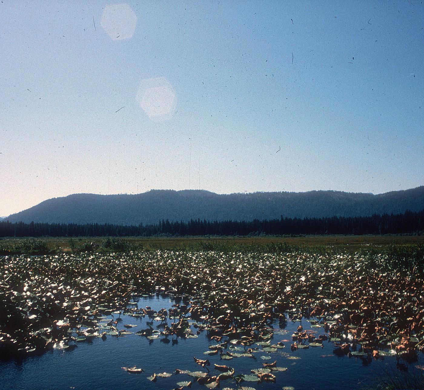 Pacific Northwest Interagency Natural Areas Network