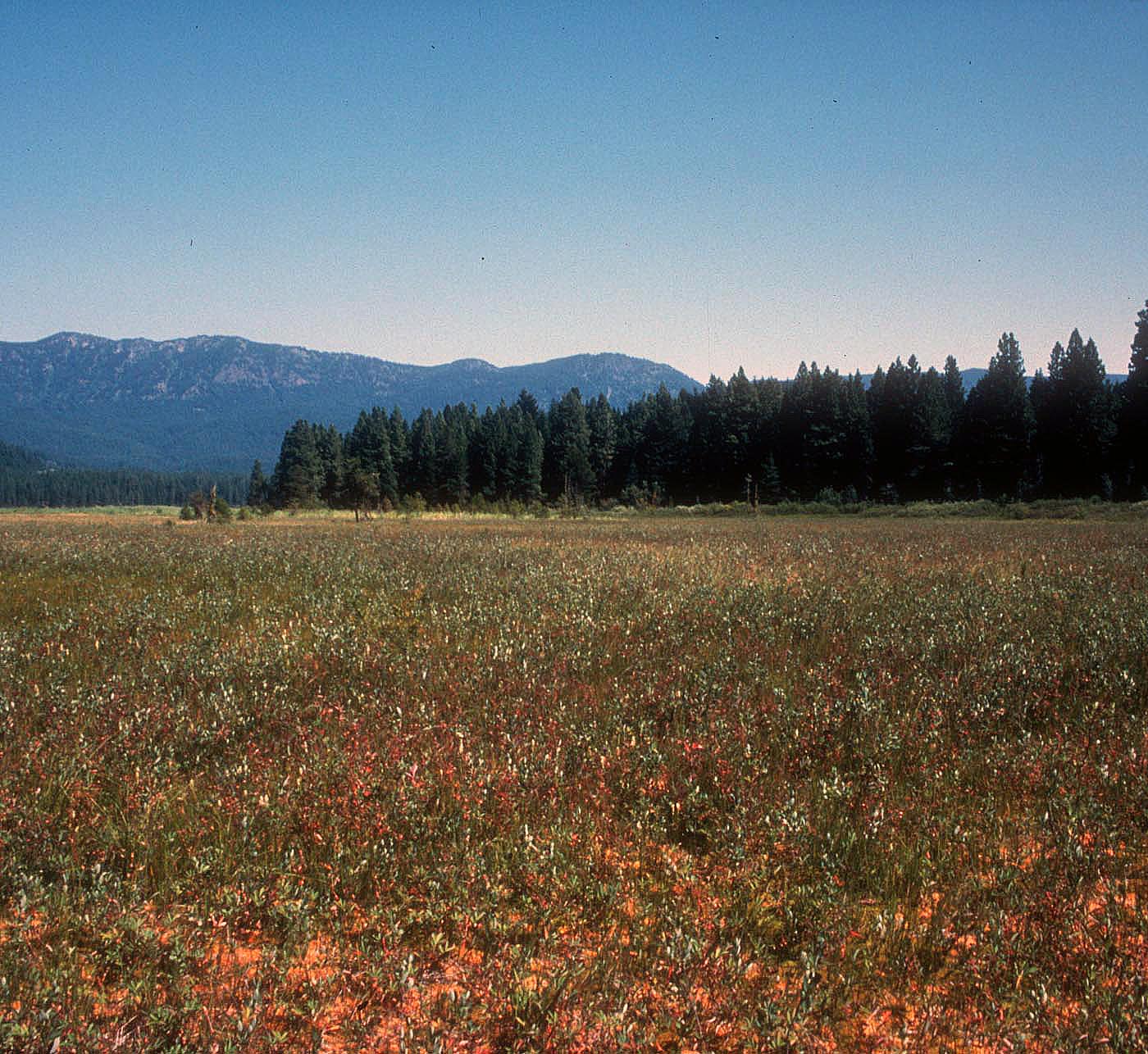 Pacific Northwest Interagency Natural Areas Network