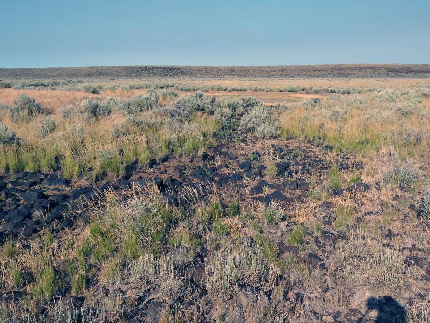 Pacific Northwest Interagency Natural Areas Network