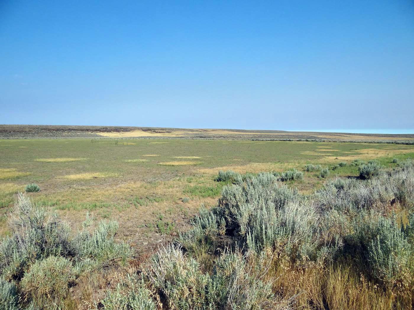 Pacific Northwest Interagency Natural Areas Network