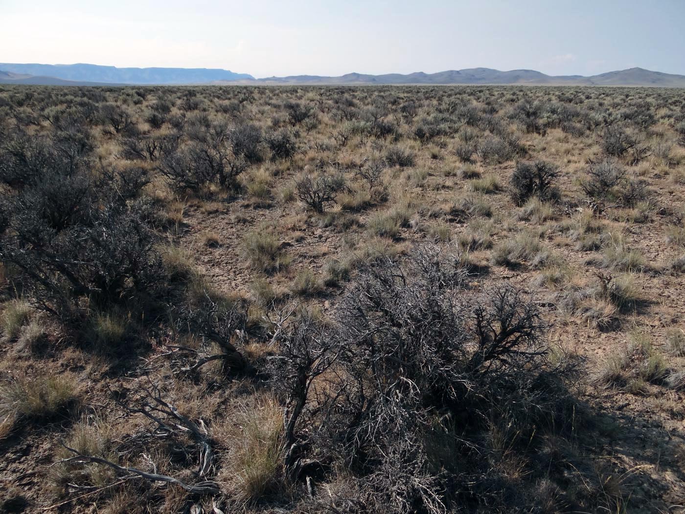 Pacific Northwest Interagency Natural Areas Network