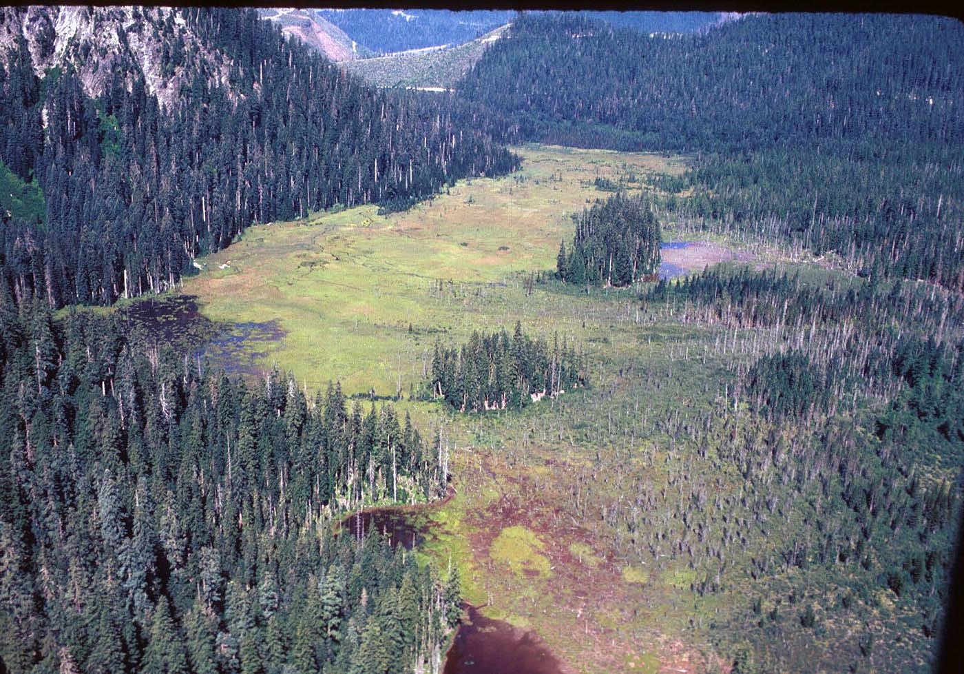 Pacific Northwest Interagency Natural Areas Network