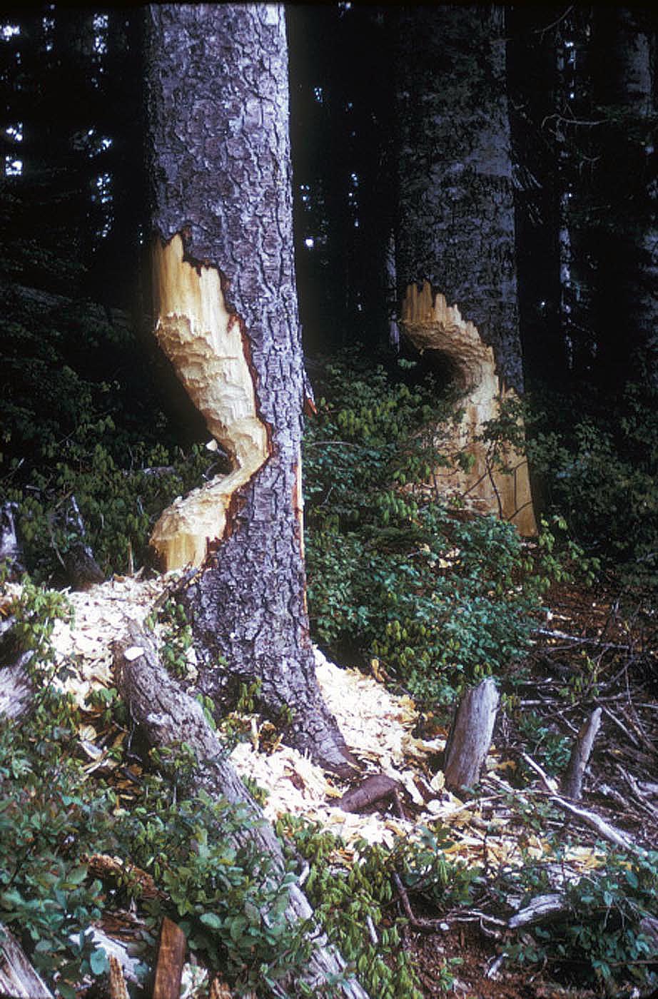 Pacific Northwest Interagency Natural Areas Network