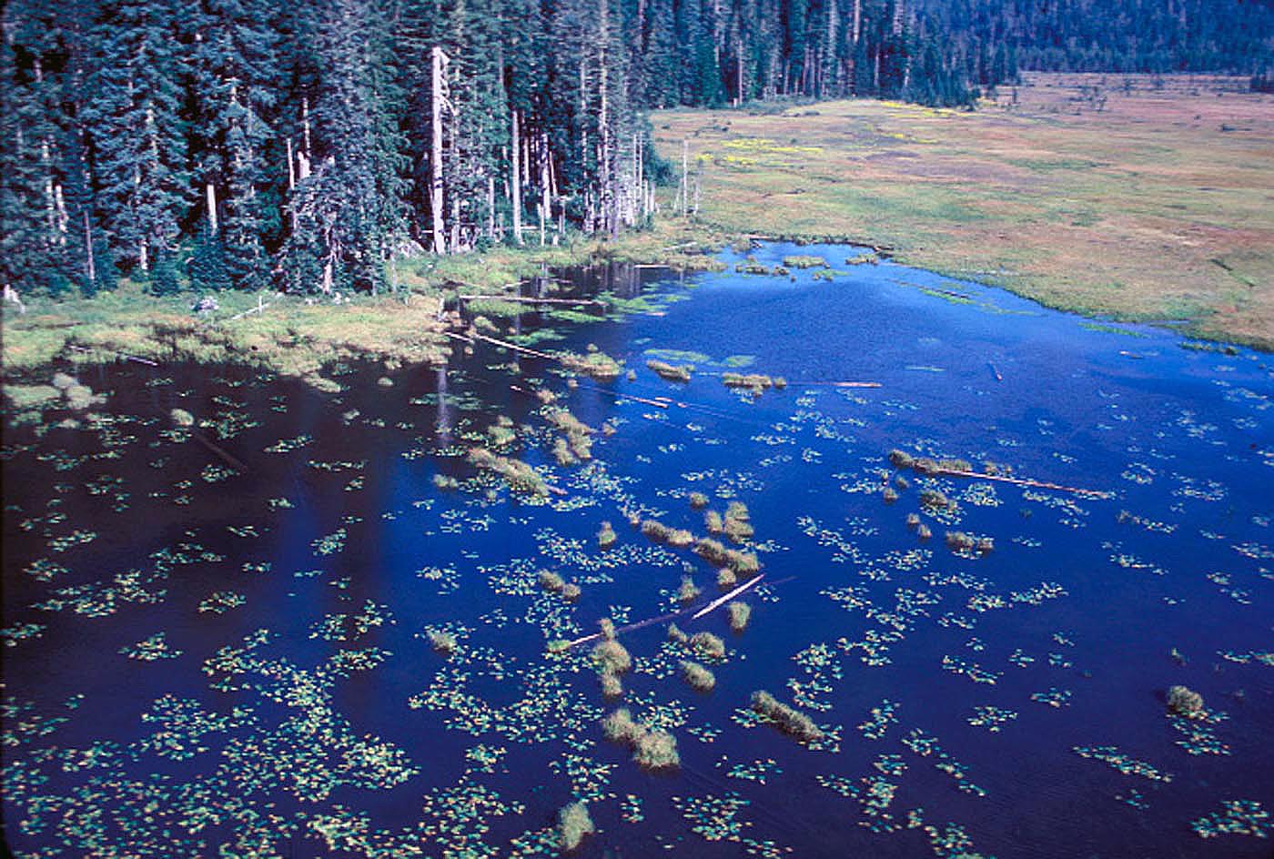 Pacific Northwest Interagency Natural Areas Network