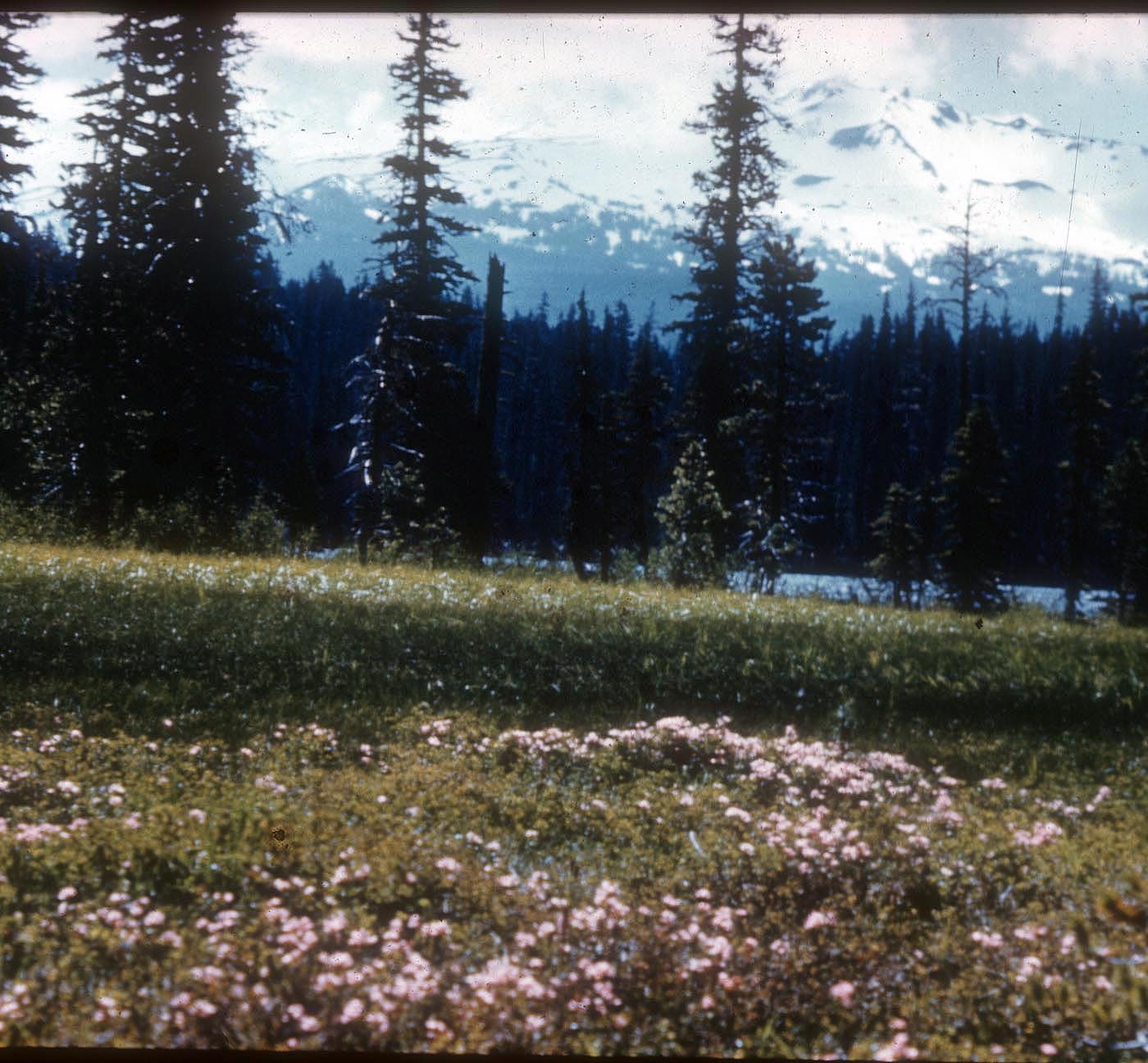Pacific Northwest Interagency Natural Areas Network