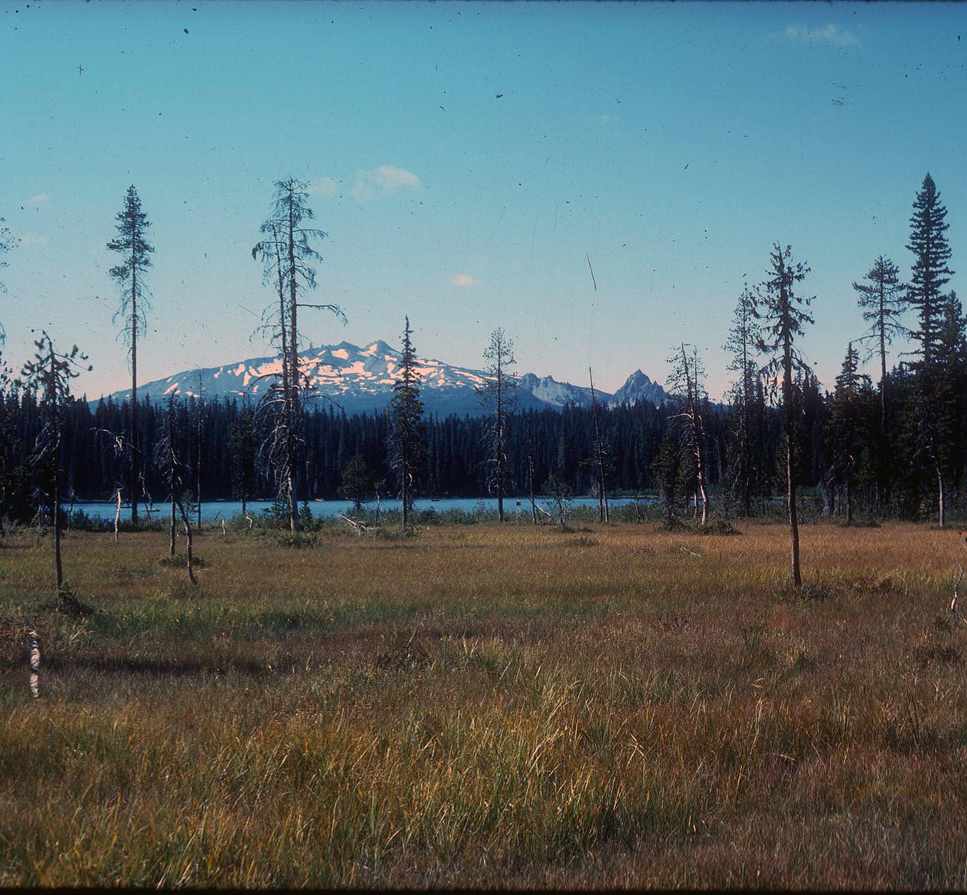 Pacific Northwest Interagency Natural Areas Network