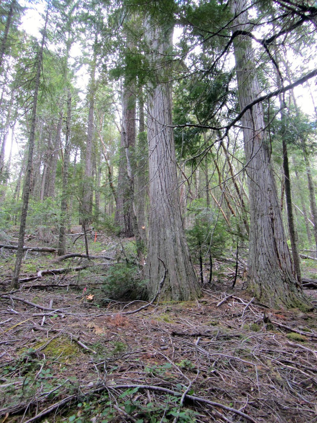 Pacific Northwest Interagency Natural Areas Network