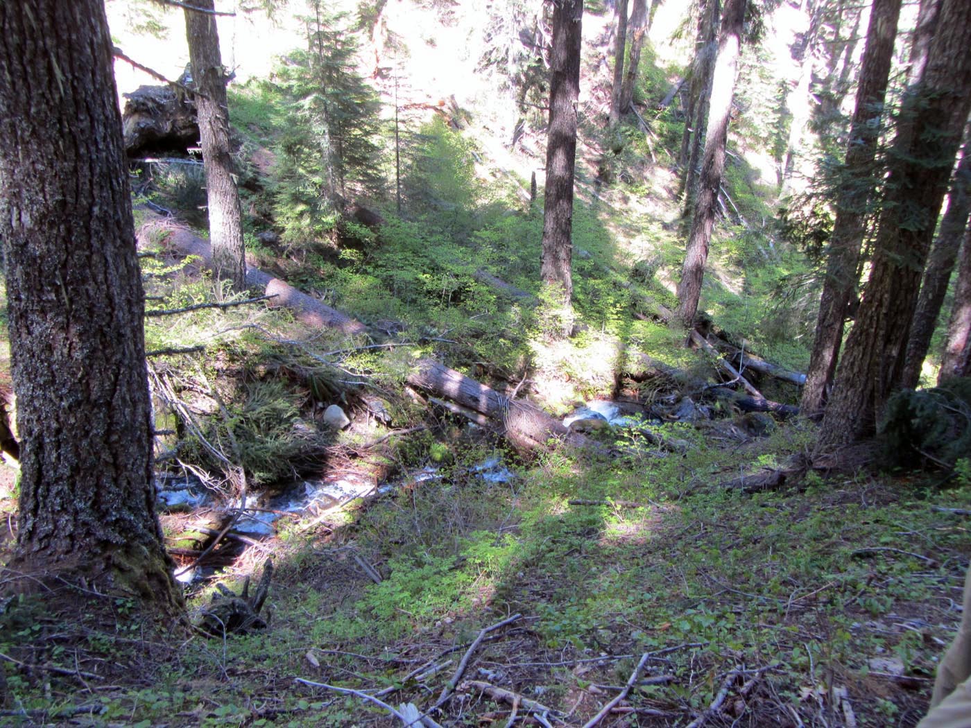 Pacific Northwest Interagency Natural Areas Network