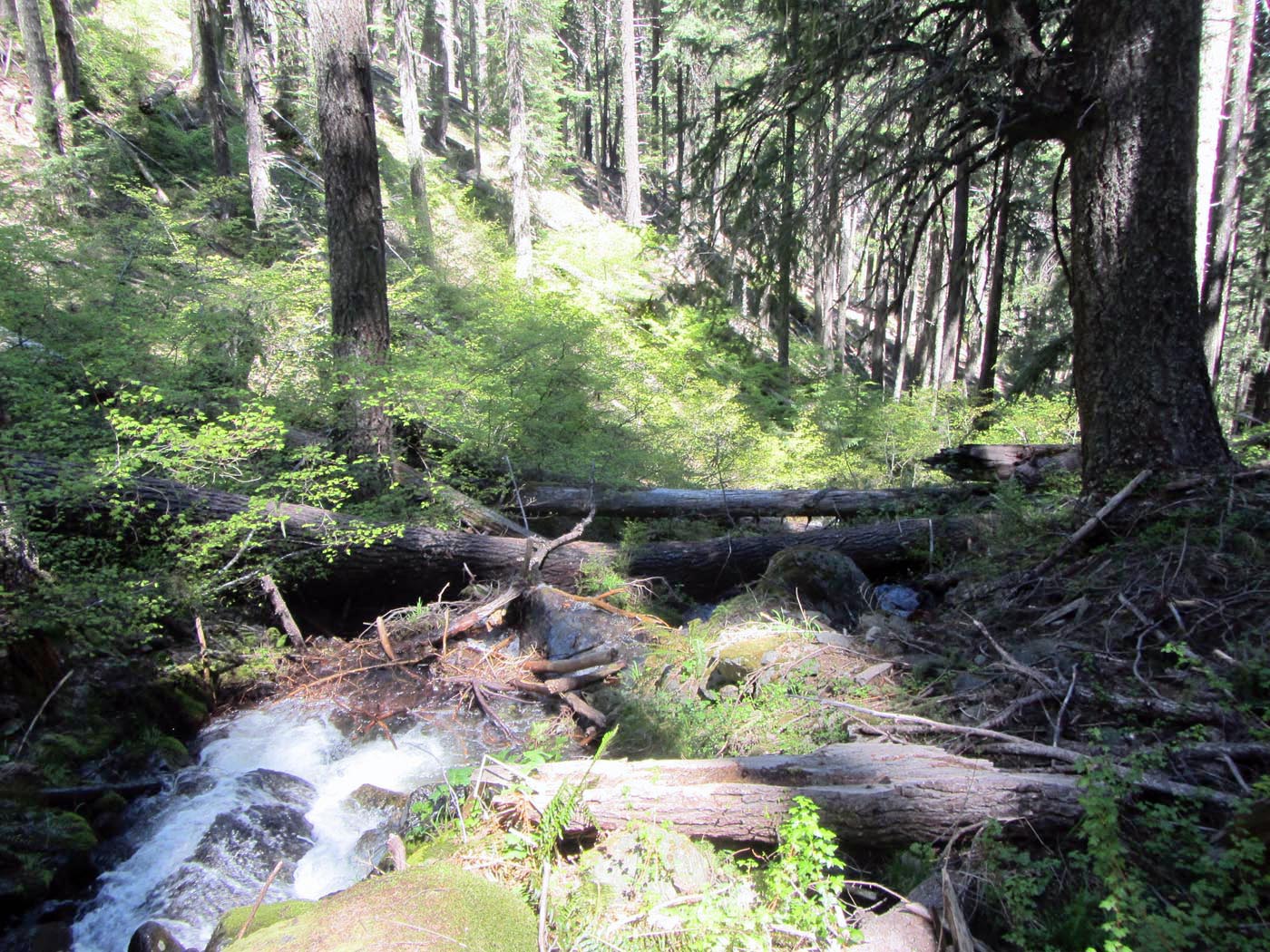 Pacific Northwest Interagency Natural Areas Network