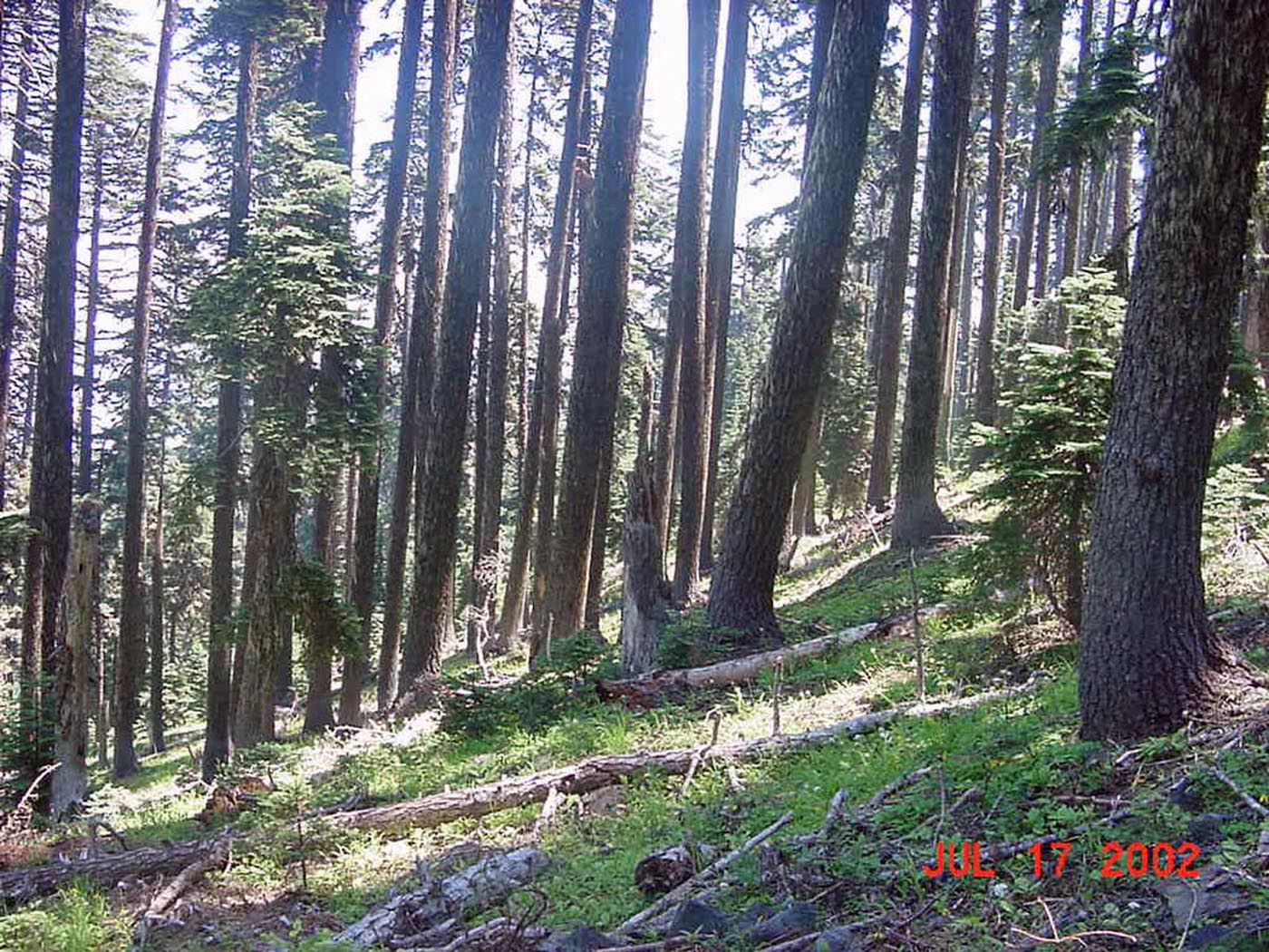 Pacific Northwest Interagency Natural Areas Network