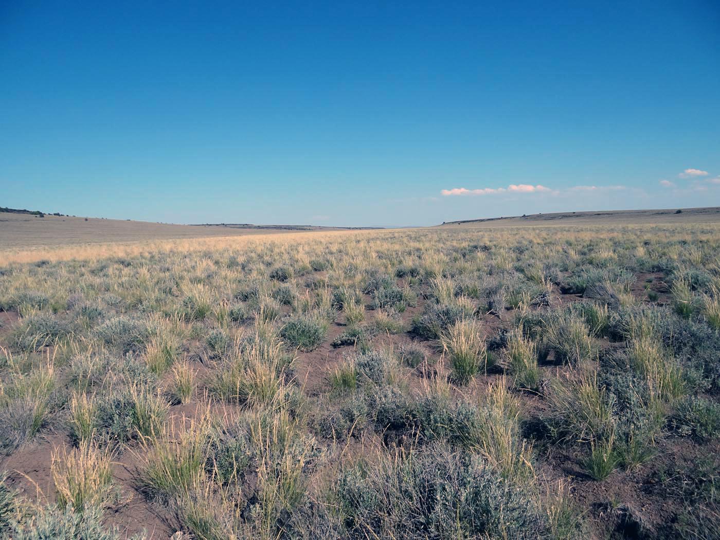 Pacific Northwest Interagency Natural Areas Network