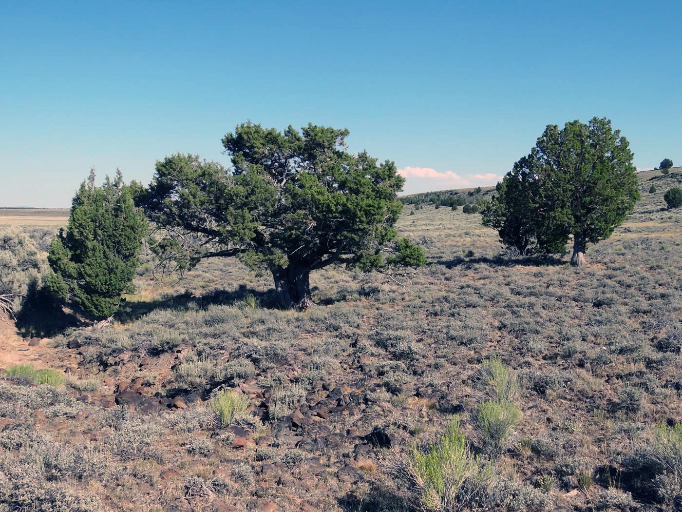 Pacific Northwest Interagency Natural Areas Network