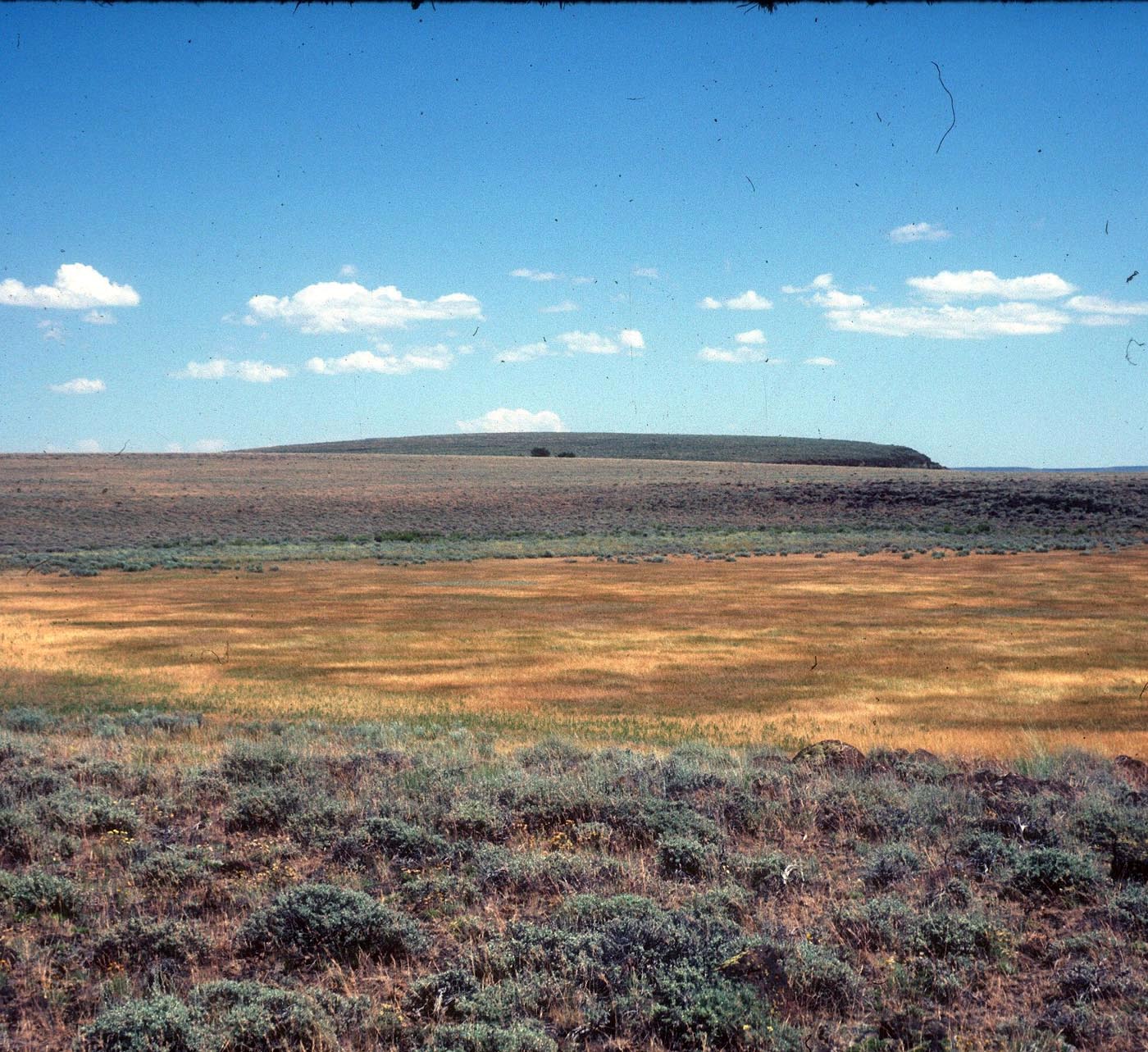 Pacific Northwest Interagency Natural Areas Network