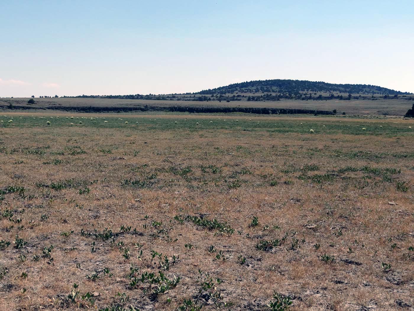 Pacific Northwest Interagency Natural Areas Network