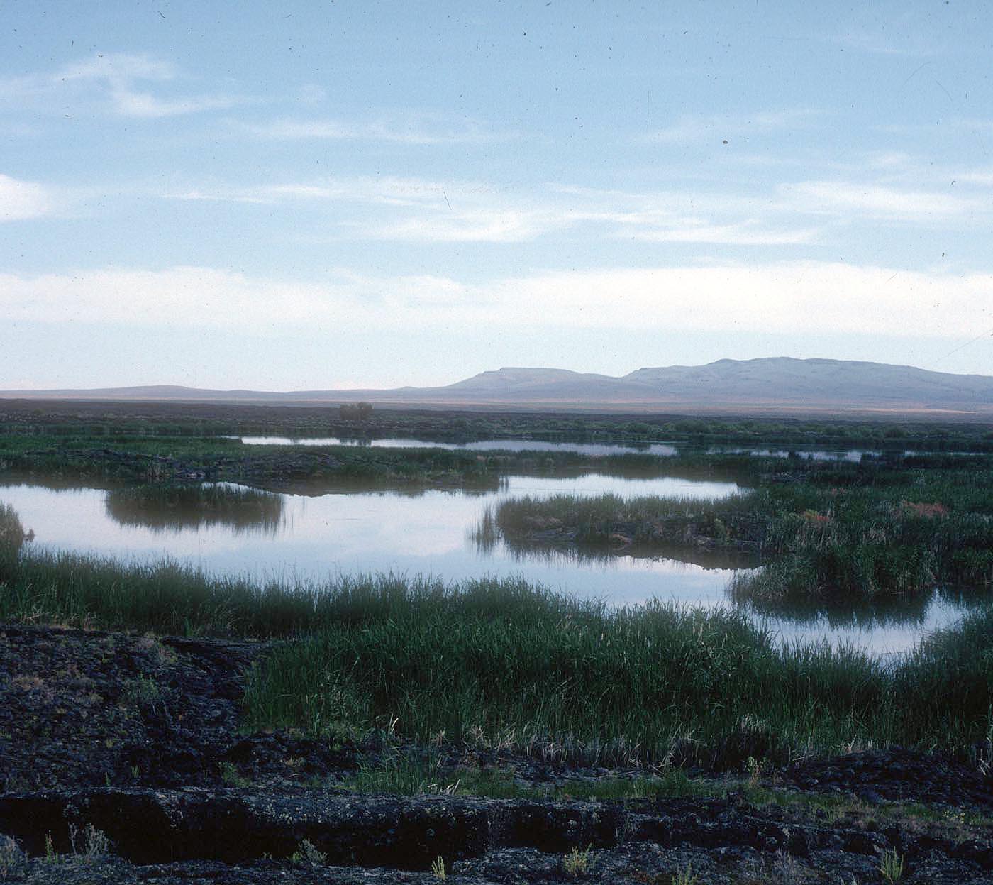 Pacific Northwest Interagency Natural Areas Network