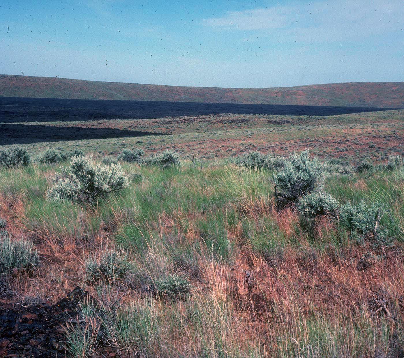 Pacific Northwest Interagency Natural Areas Network