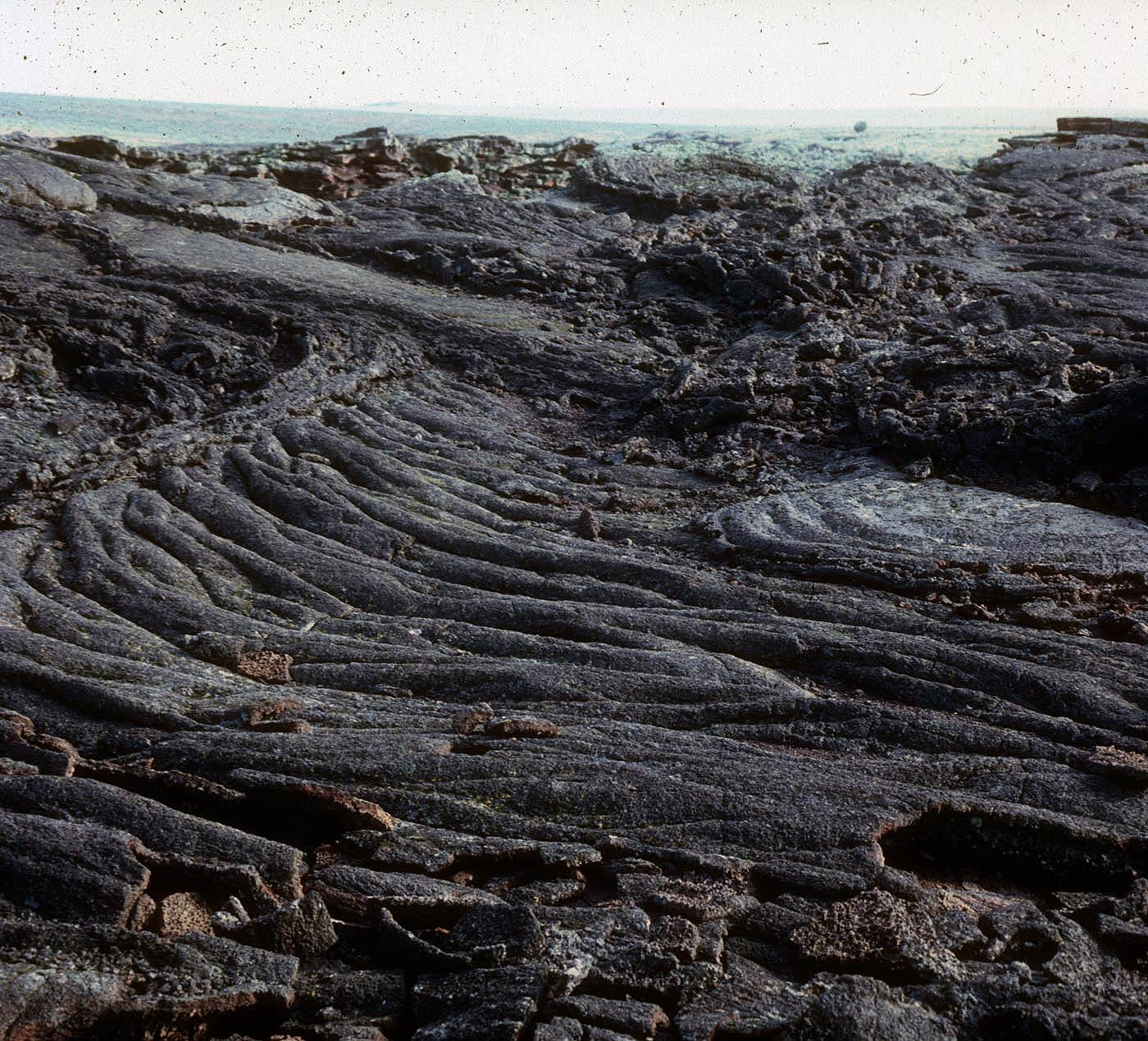 Pacific Northwest Interagency Natural Areas Network