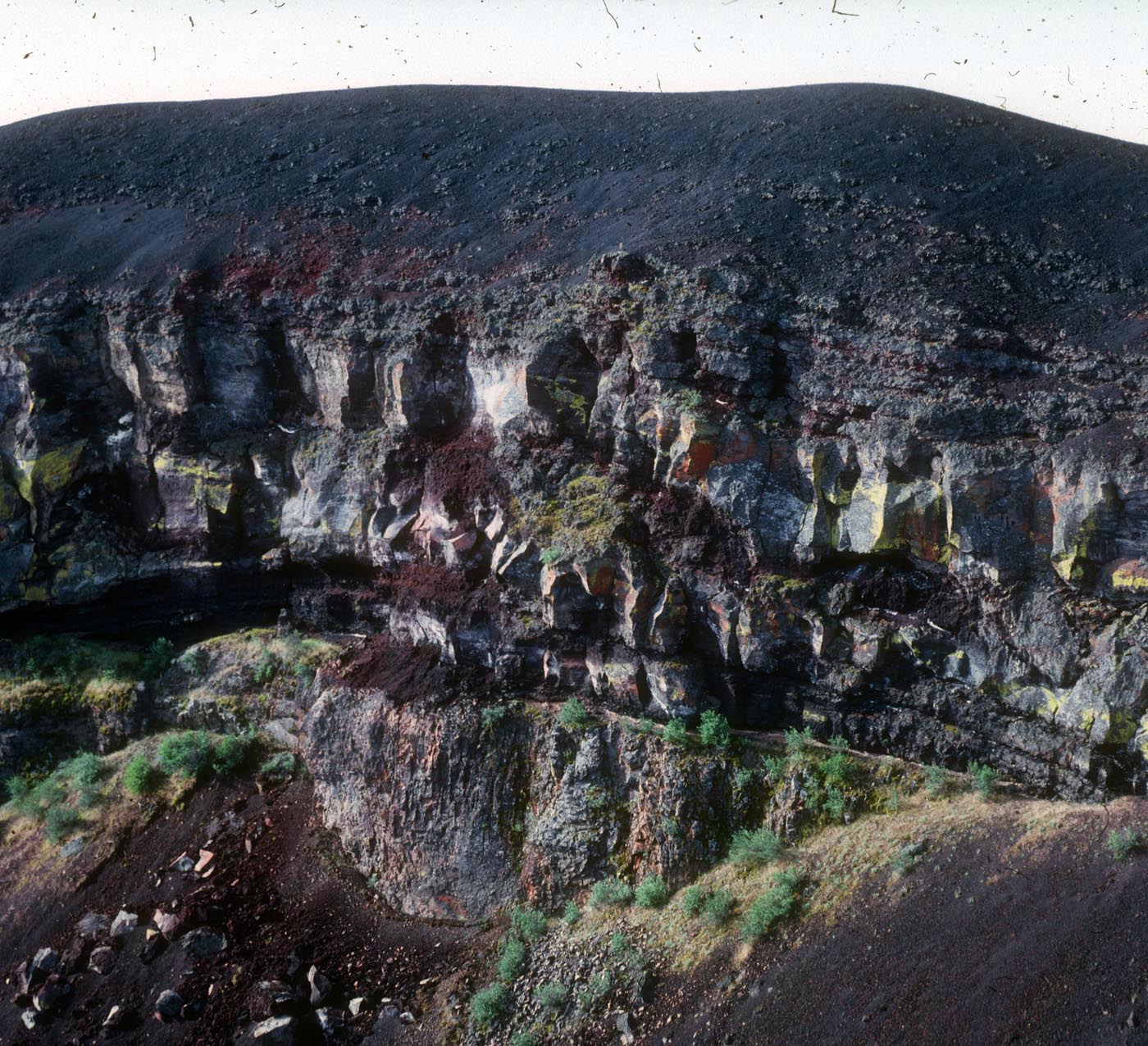 Pacific Northwest Interagency Natural Areas Network