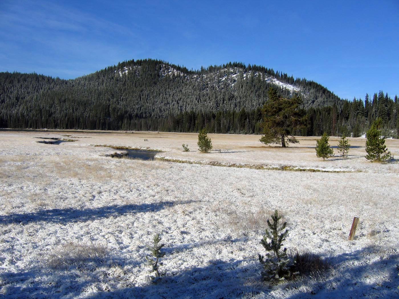 Pacific Northwest Interagency Natural Areas Network