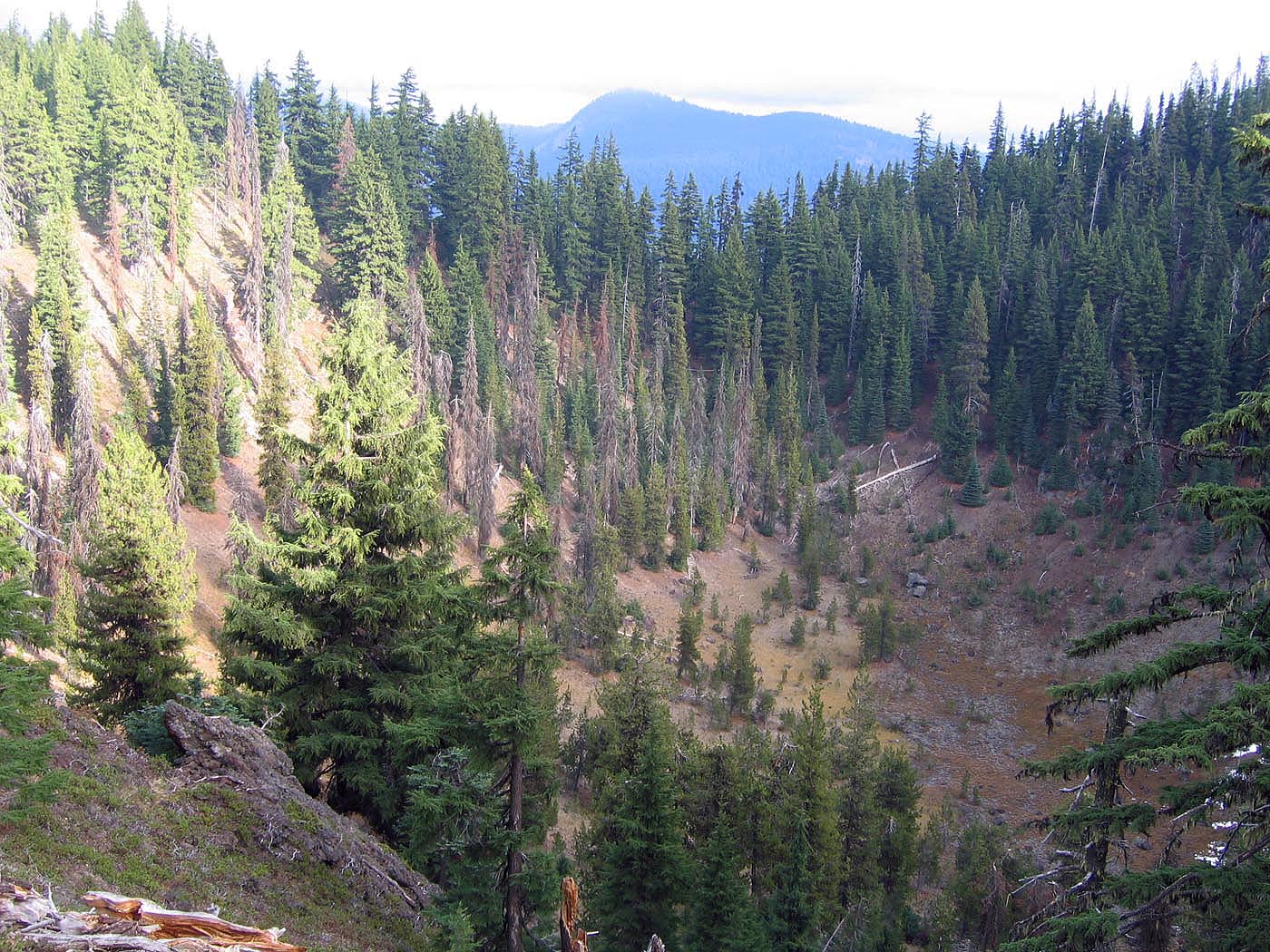 Pacific Northwest Interagency Natural Areas Network