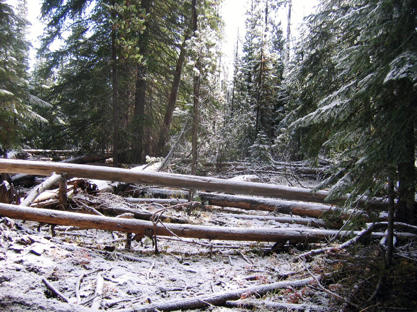 Pacific Northwest Interagency Natural Areas Network