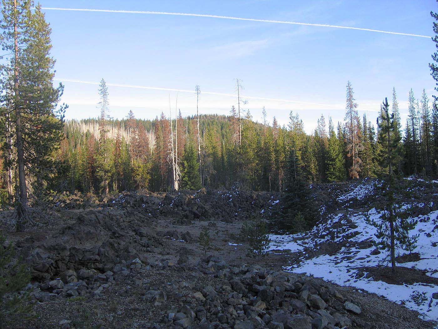 Pacific Northwest Interagency Natural Areas Network