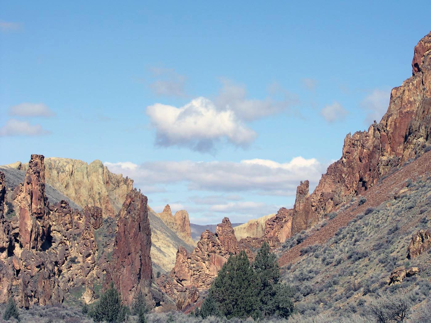 Pacific Northwest Interagency Natural Areas Network