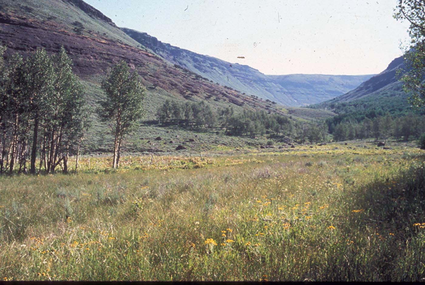 Pacific Northwest Interagency Natural Areas Network