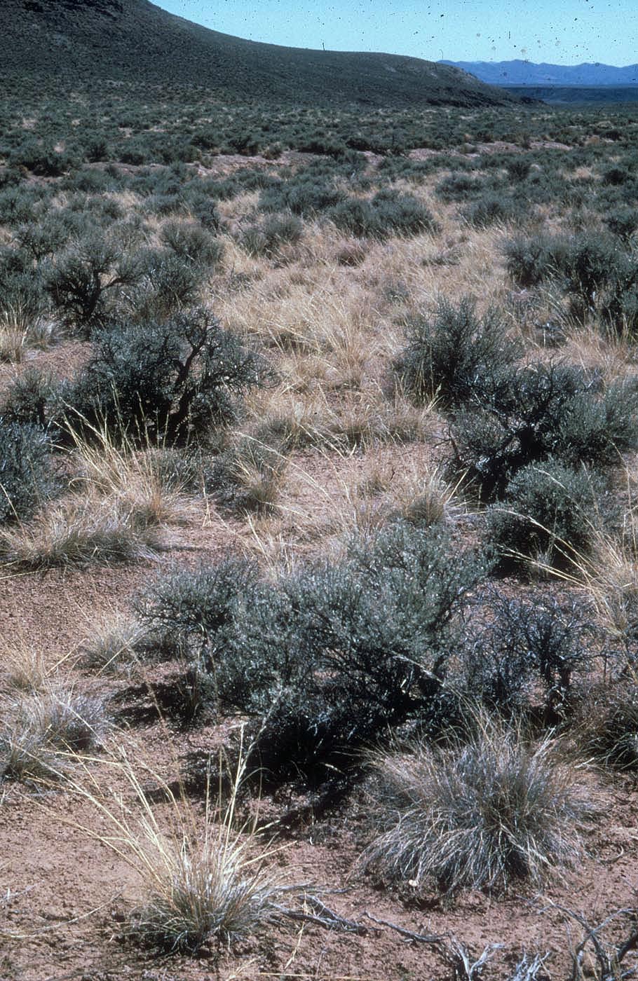 Pacific Northwest Interagency Natural Areas Network