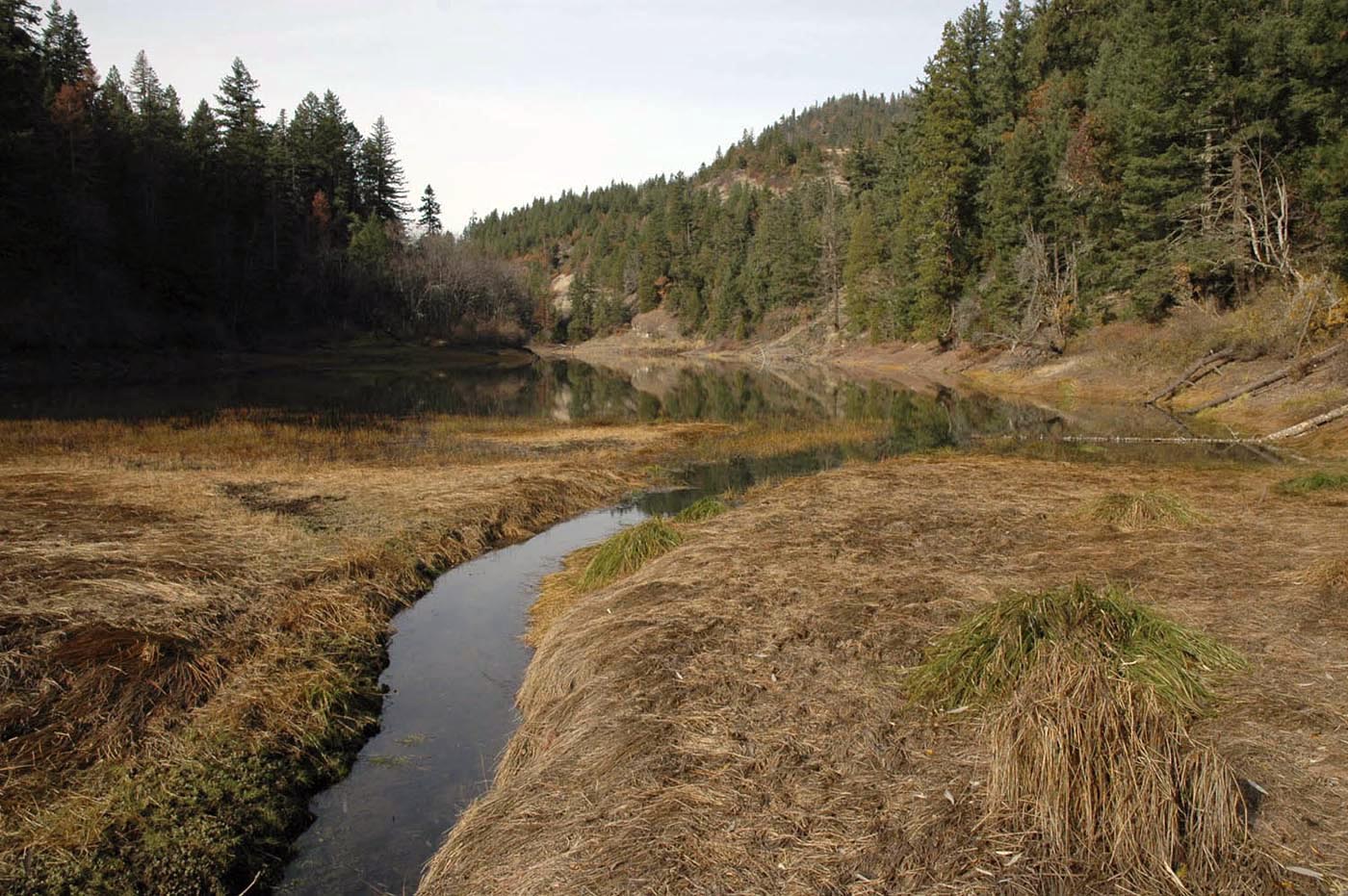 Pacific Northwest Interagency Natural Areas Network