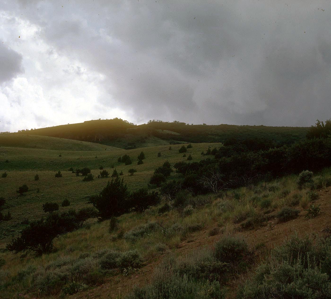 Pacific Northwest Interagency Natural Areas Network