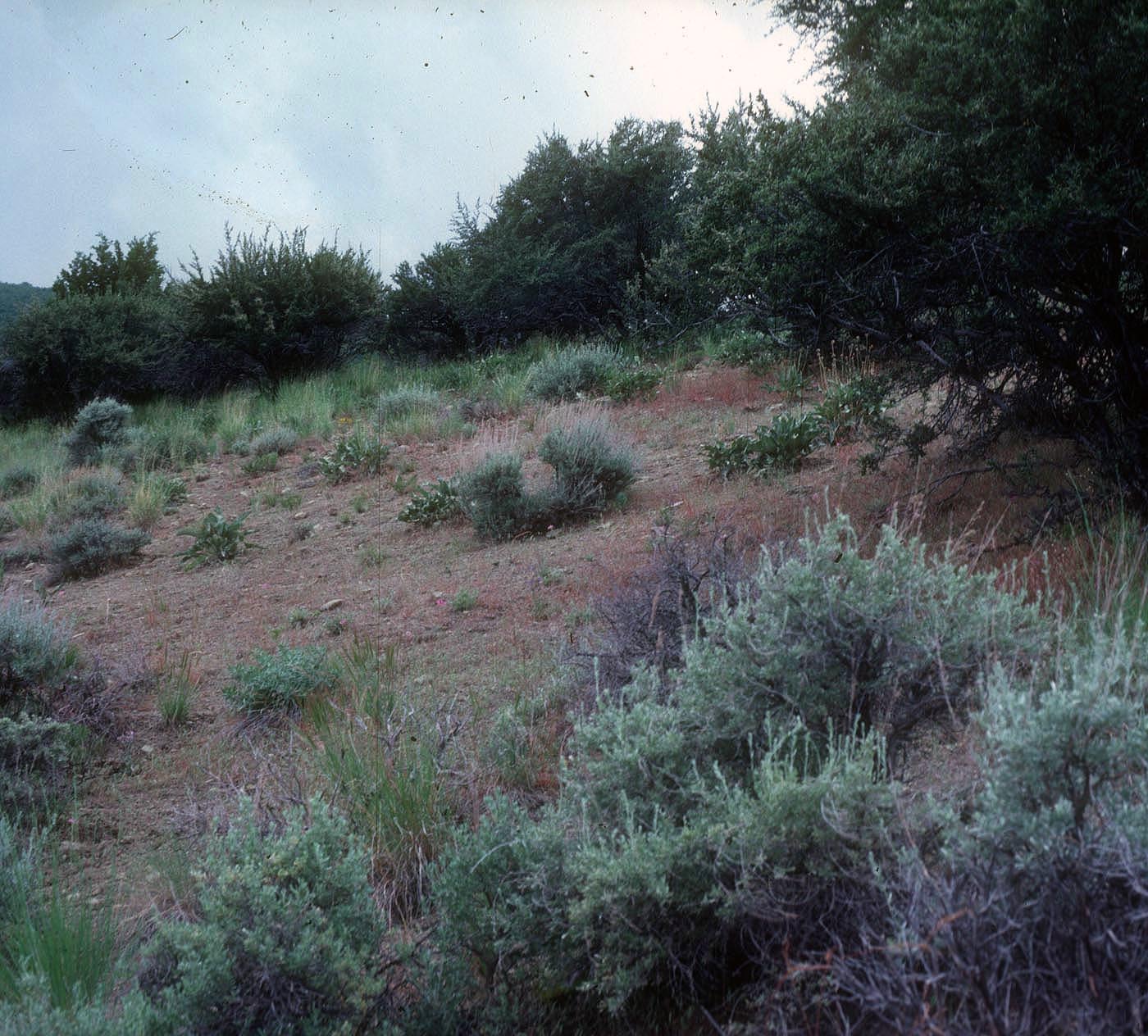 Pacific Northwest Interagency Natural Areas Network