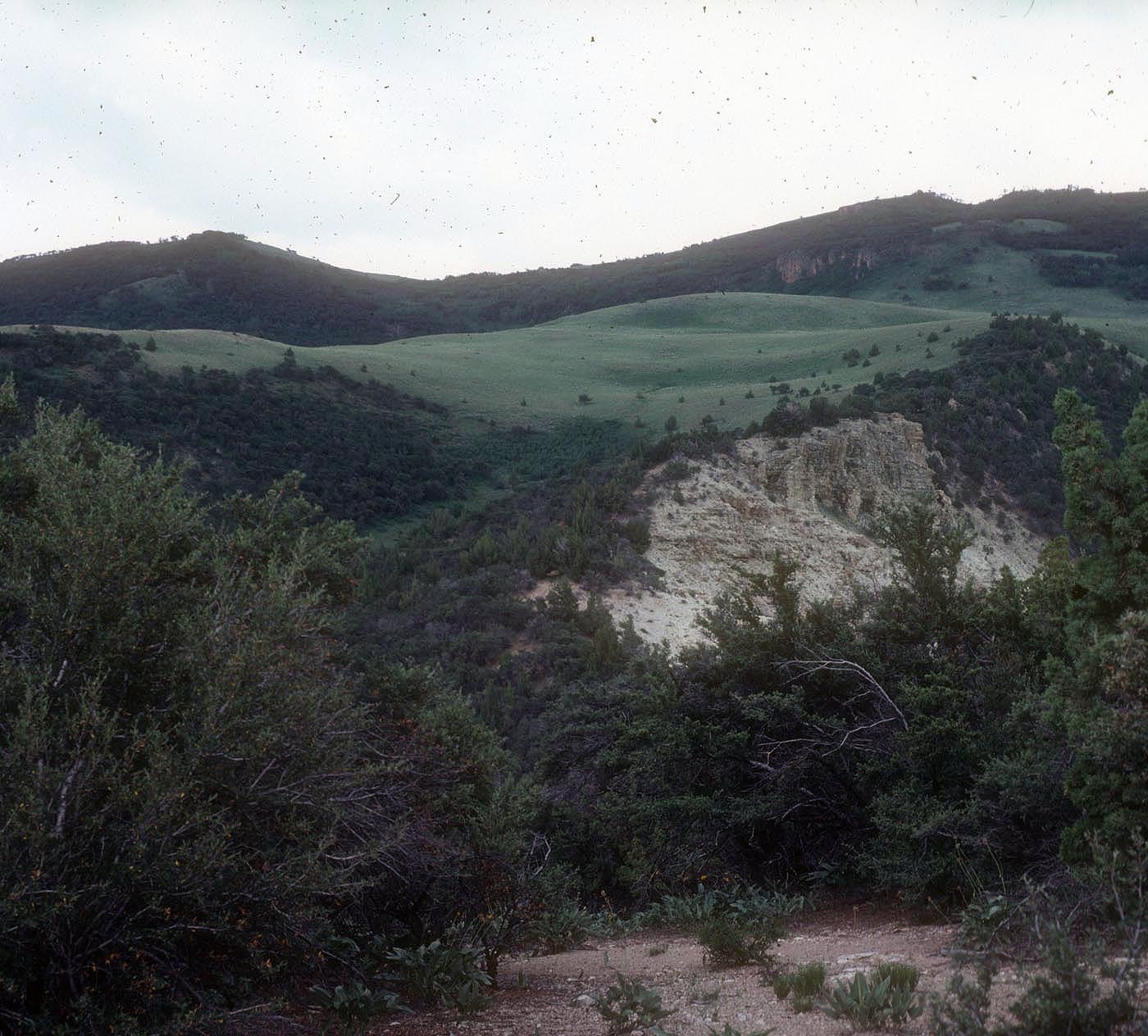 Pacific Northwest Interagency Natural Areas Network