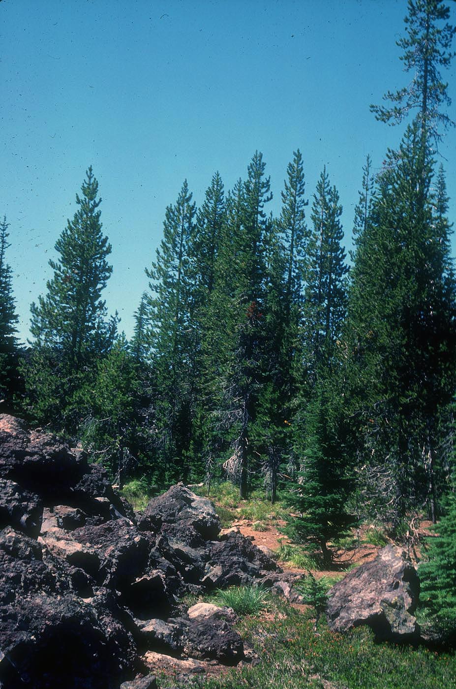 Pacific Northwest Interagency Natural Areas Network