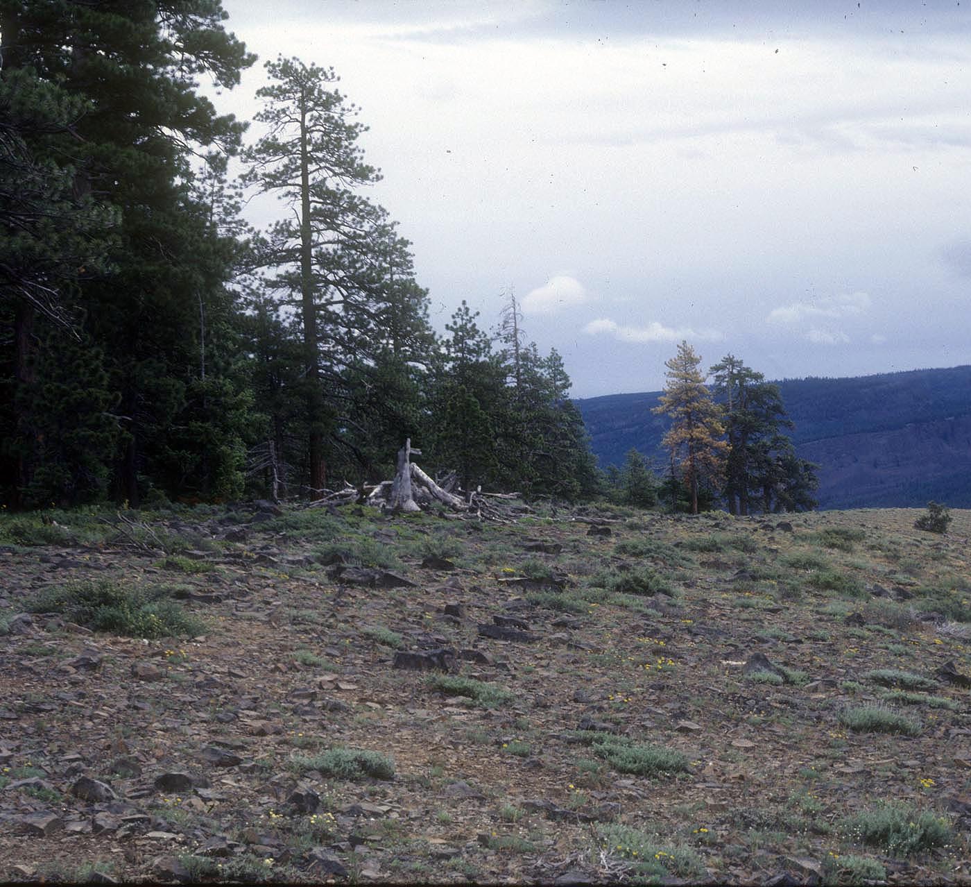 Pacific Northwest Interagency Natural Areas Network